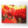 ClassicLiving Beautiful Red Flowers - Wrapped Canvas Print | Wayfair.co.uk