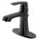 CMI Cardania Single-Hole Single-handle Bathroom Faucet with Drain ...