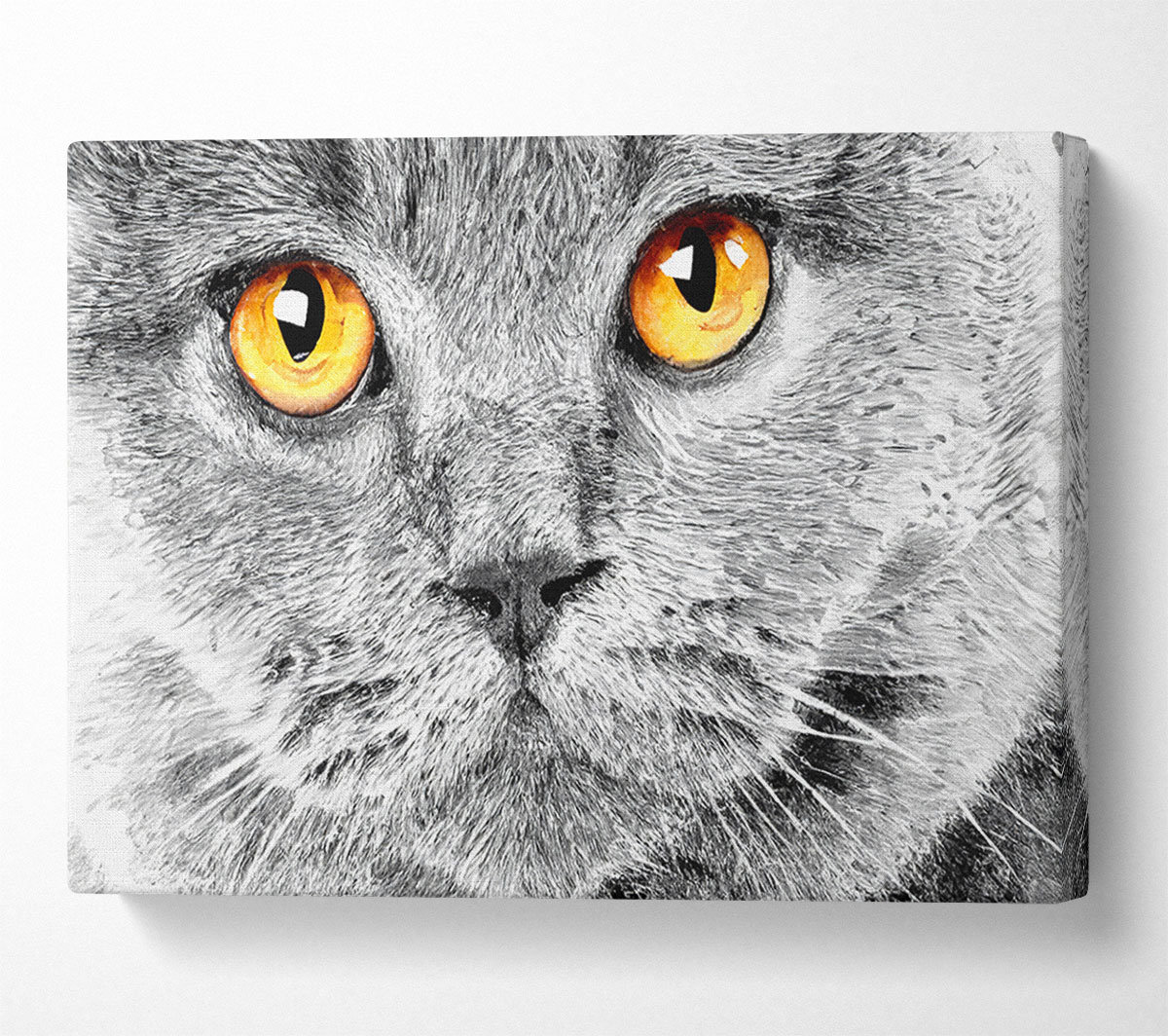 Latitude Run Serious Grey Cat - Print | Wayfair.co.uk