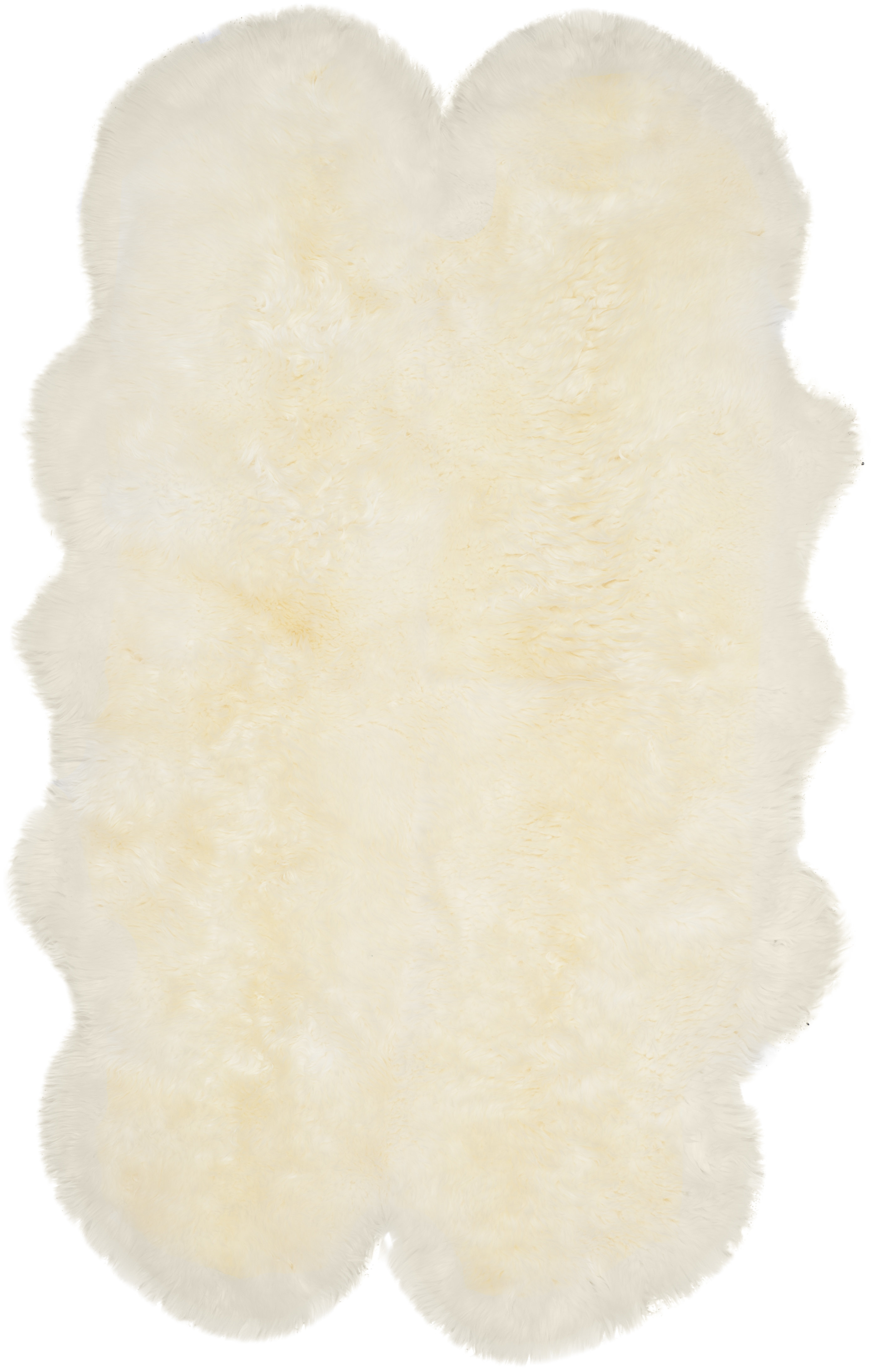 AllModern Mera Solid Color Rug & Reviews | Wayfair