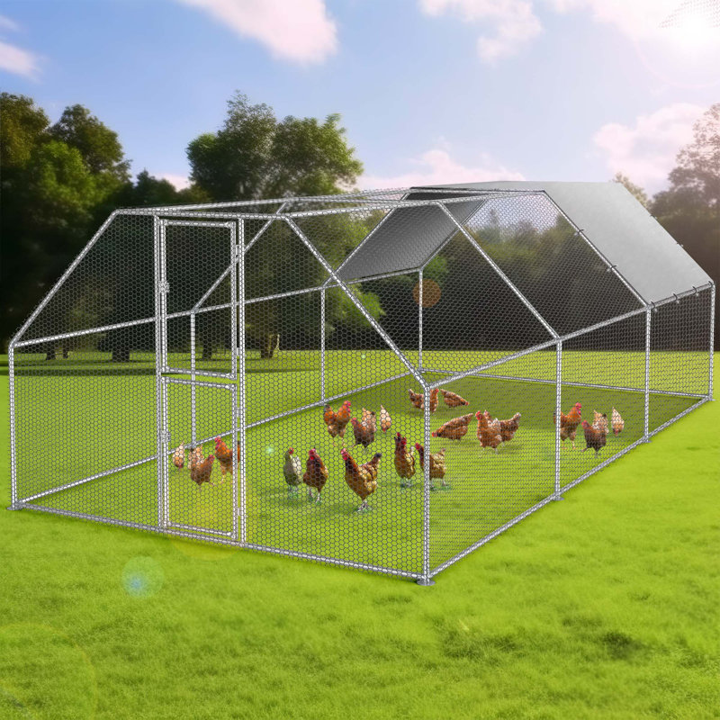 Archie & Oscar™ Keltner Metal Chicken Run Coop Walk-in Poultry Cage ...