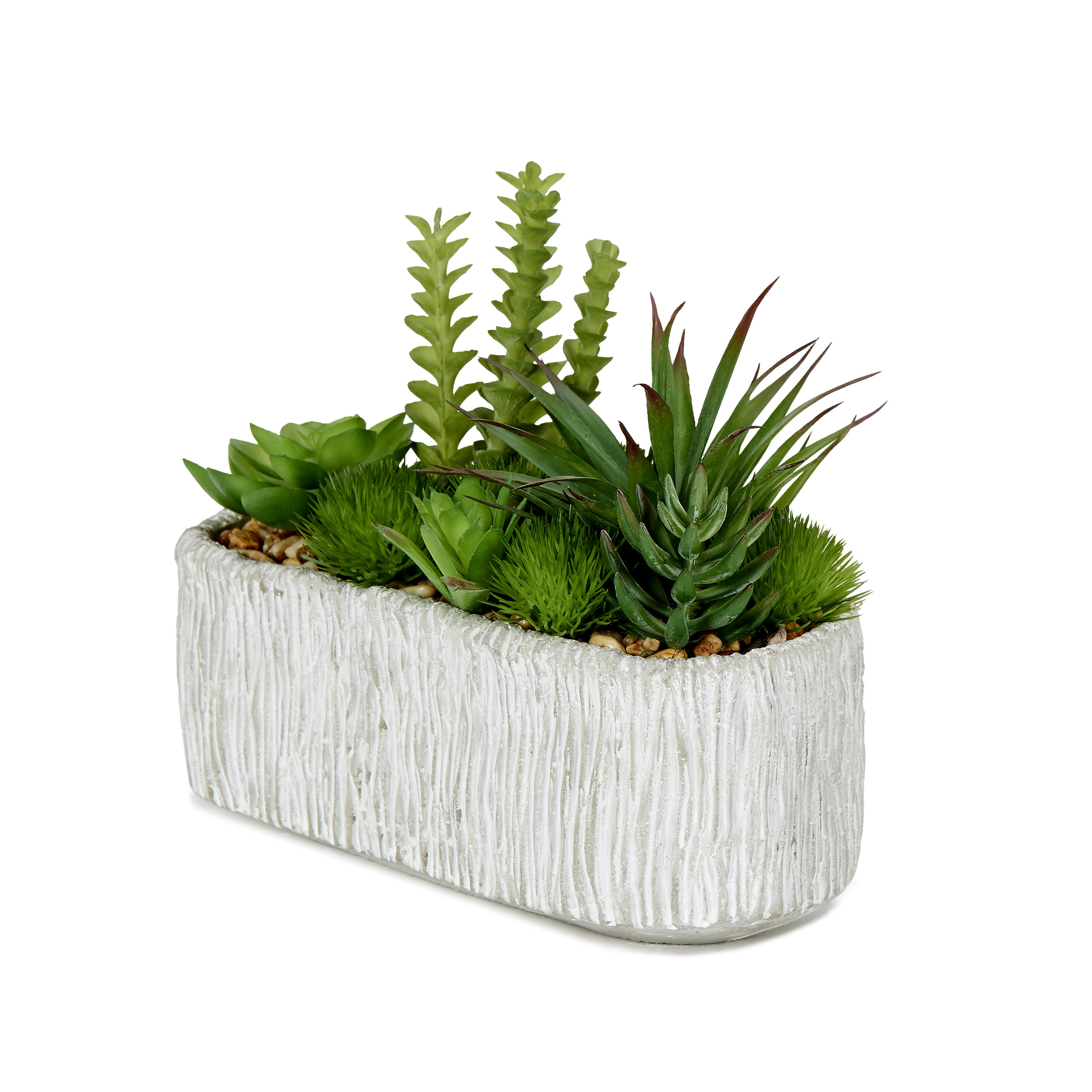D & W Silks Succulents in Oblong Cement Planter | Perigold