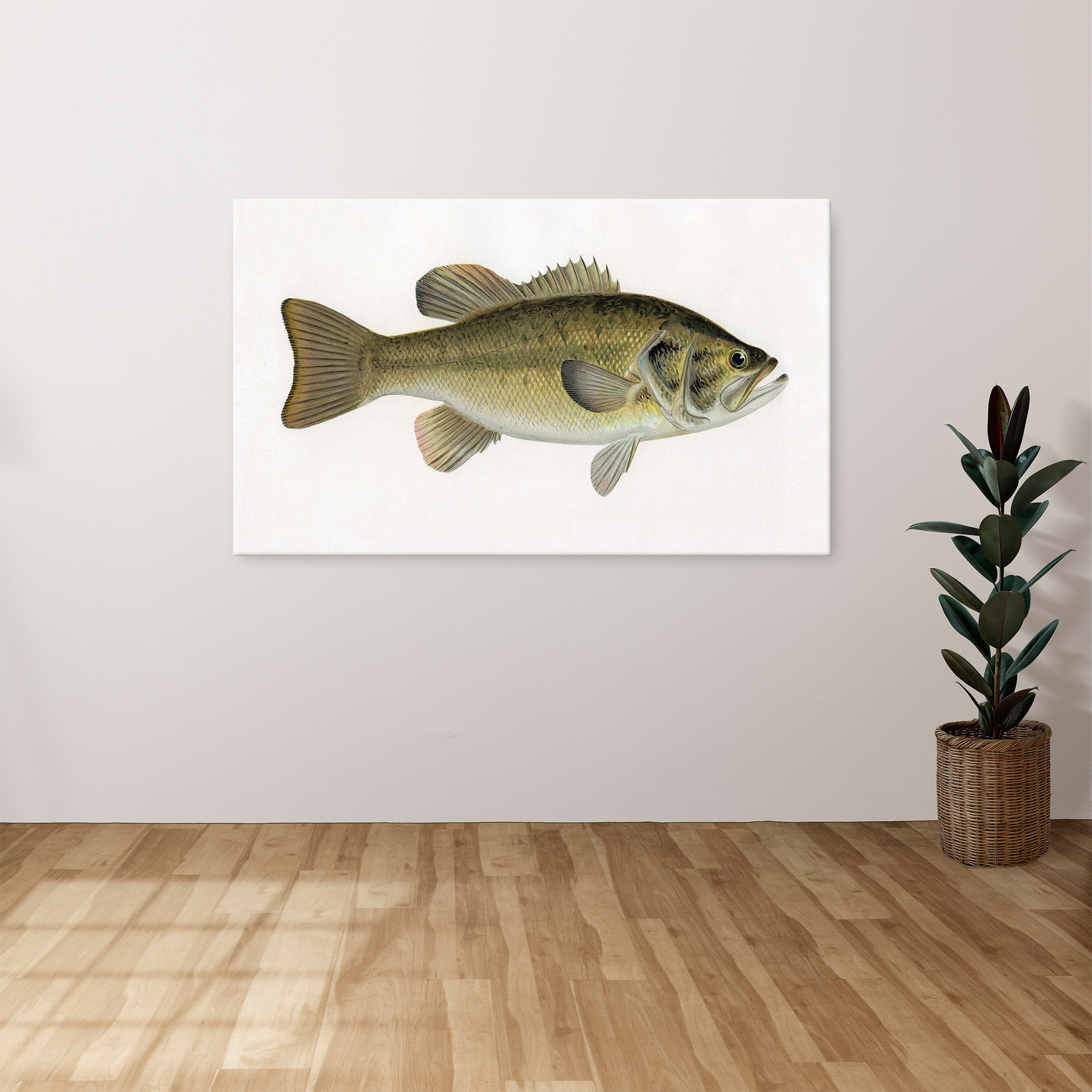 Rosecliff Heights "Female Brook Trout" by CAD Designs Print on Canvas ...