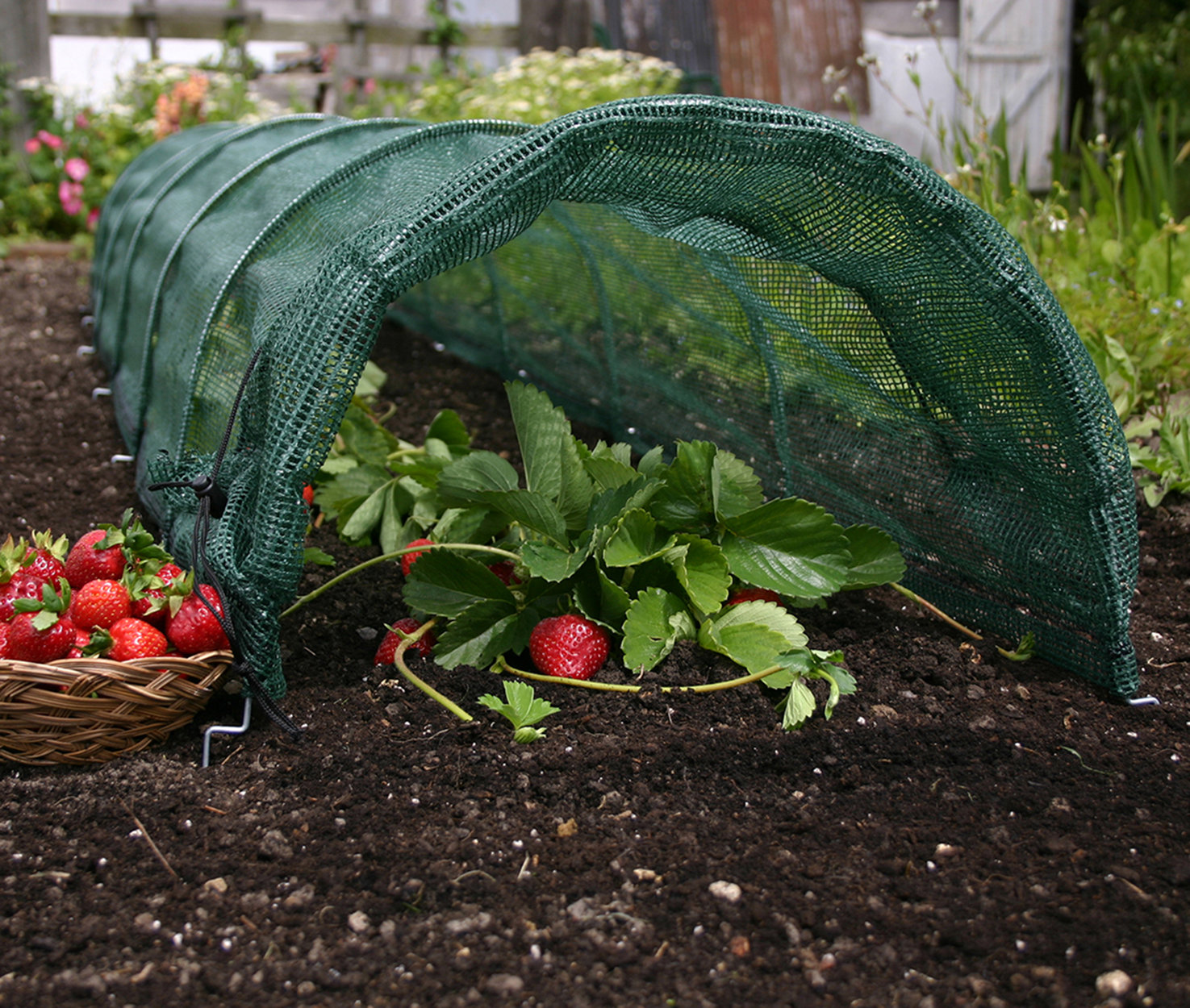 Tierra Garden Giant Easy Net Tunnel 118"L x 24"W x 18"H | Wayfair