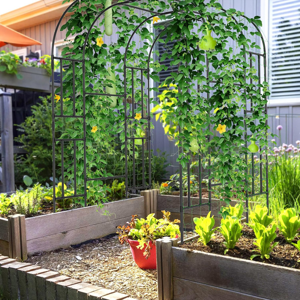 ShangQuan WuLiu Outdoor Garden Arch Trellis, Green Steel, Semicircular ...