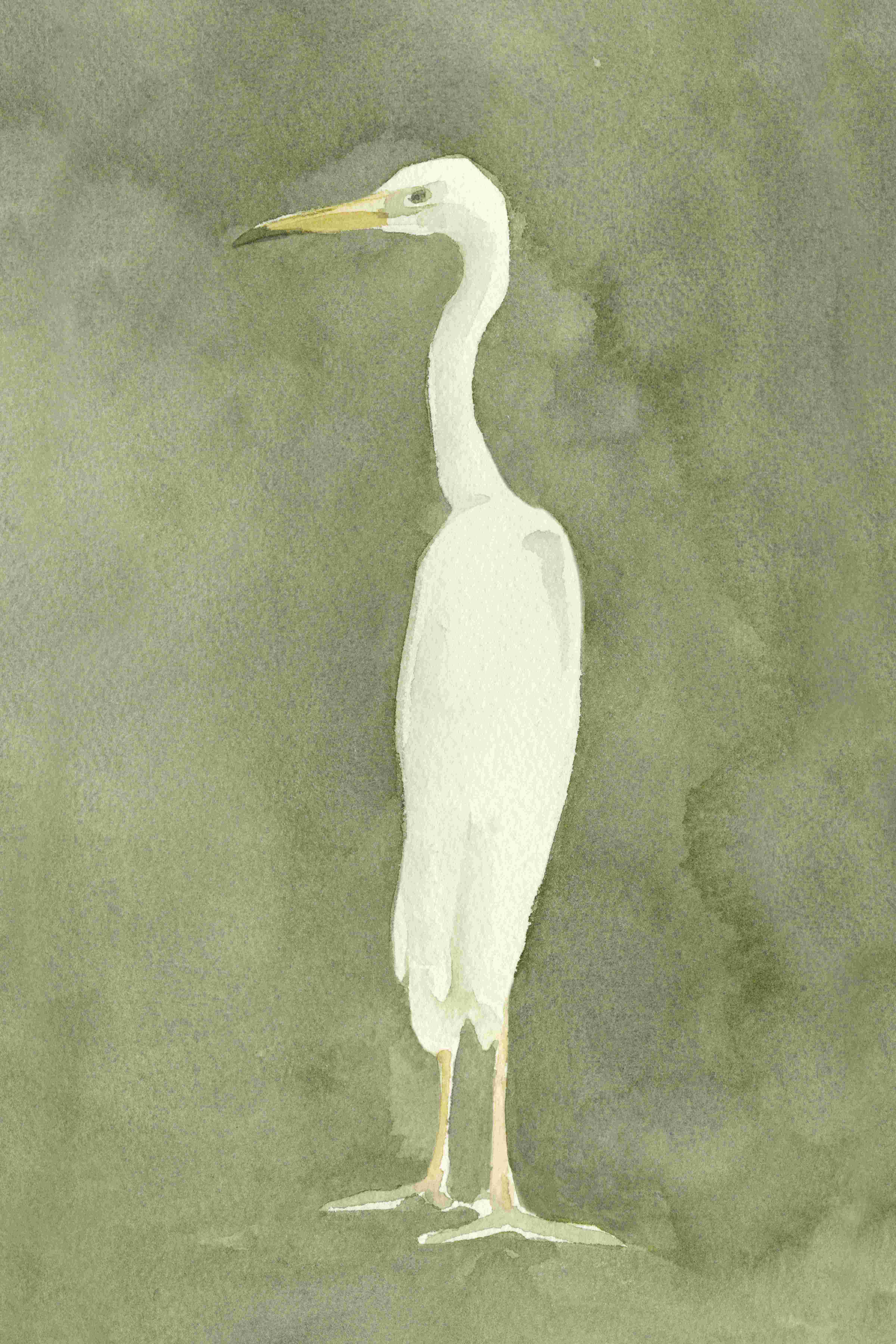 Highland Dunes Emerald Heron II by Emma Caroline - Wrapped Canvas ...