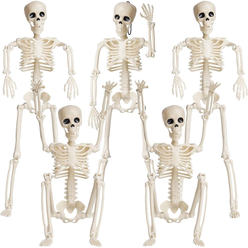 The Holiday Aisle® Full Body Small Skeleton With Posable Movable Joints ...