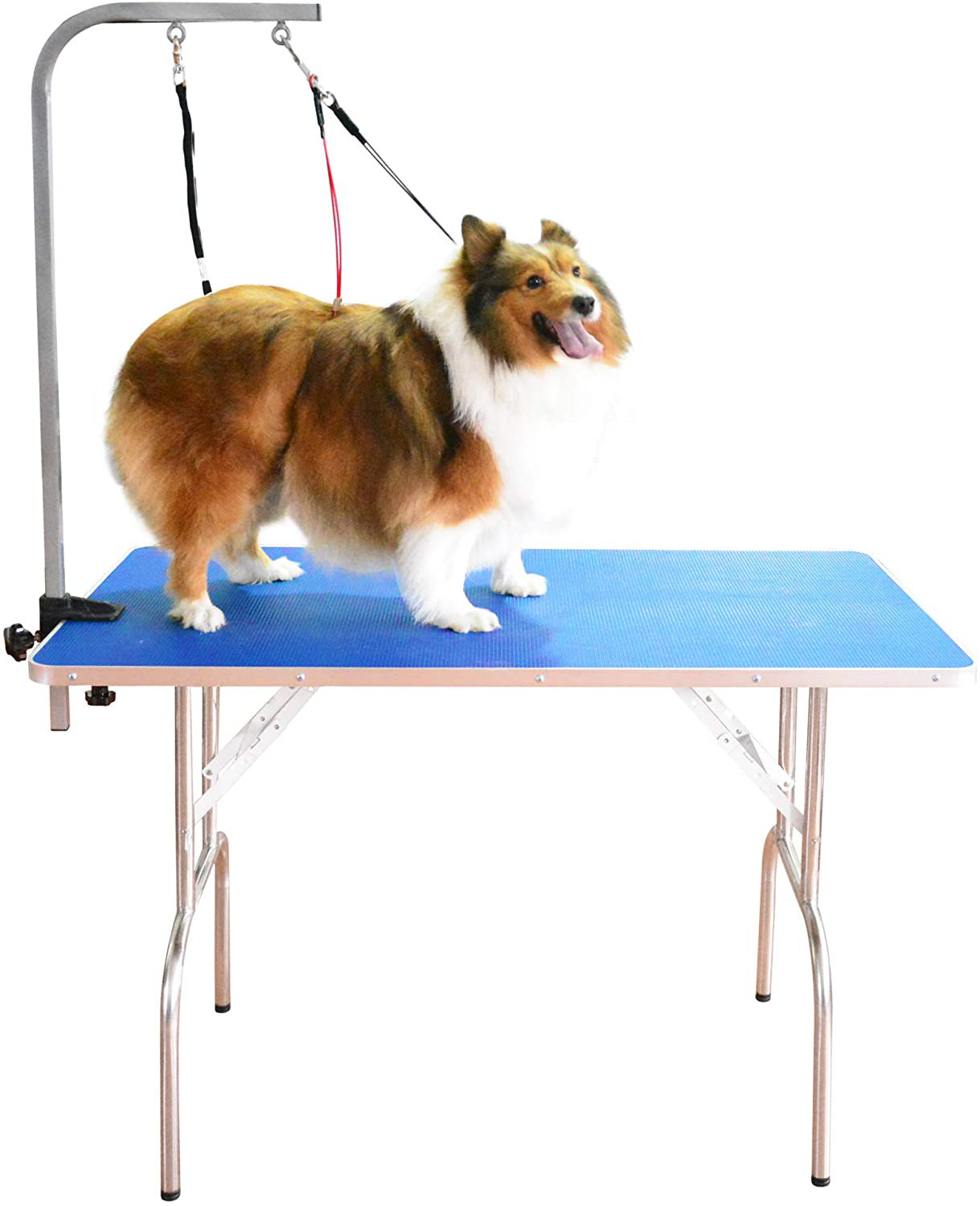 Shelandy Professional Pet Grooming Table With Double Leashes And Clamp ...