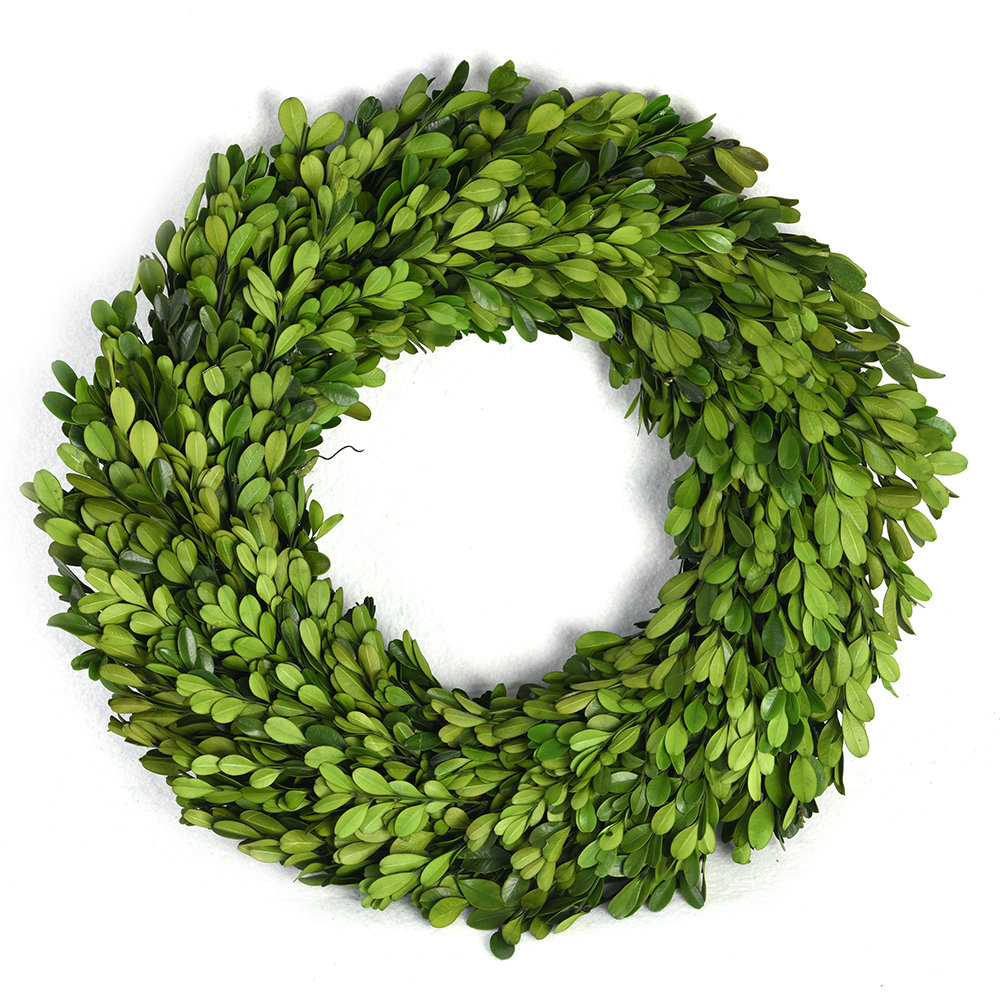 Winward Silks BOXWOOD WREATH | Perigold