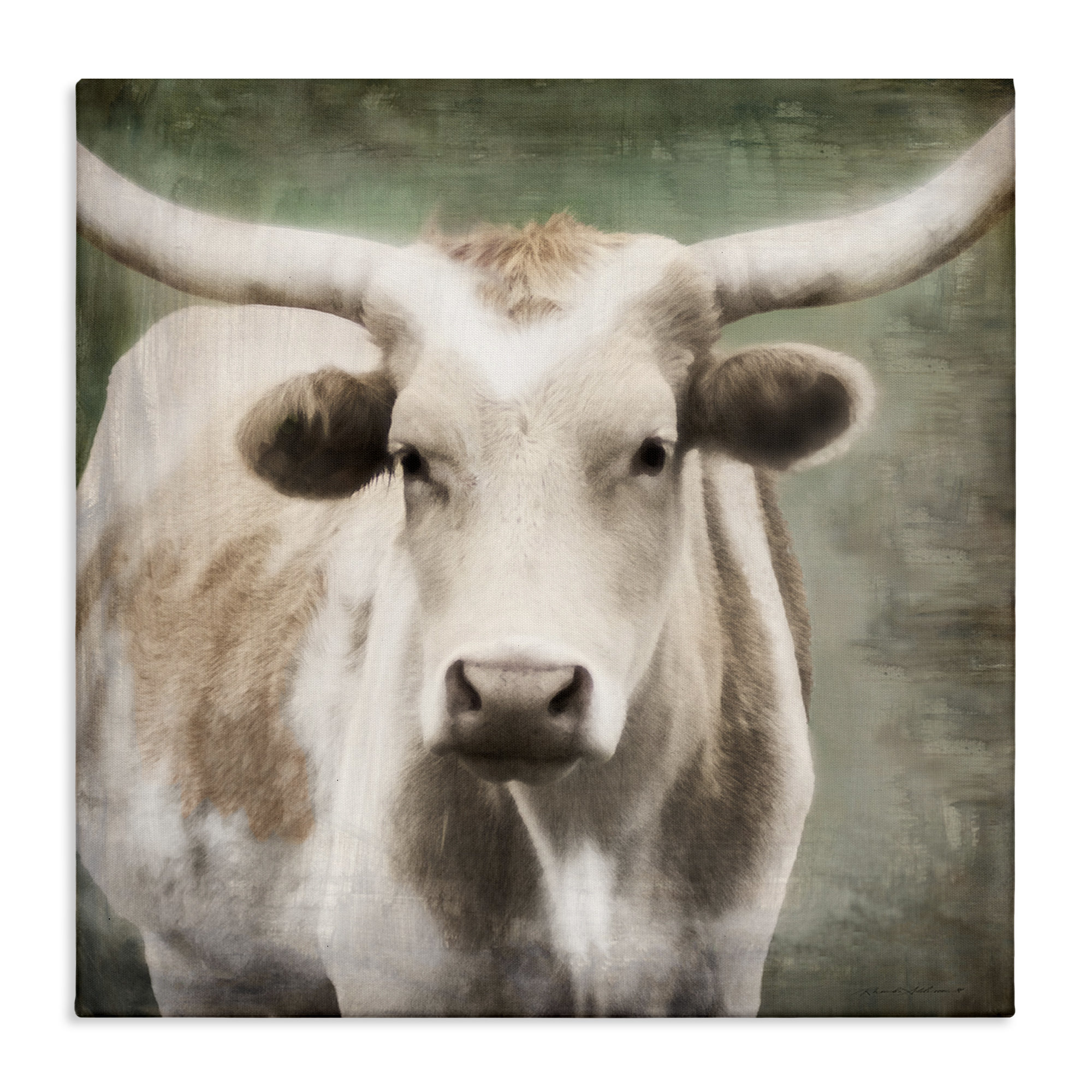 Union Rustic Rustic Longhorn Cattle Canvas Wall Art by Rhonda Addison ...