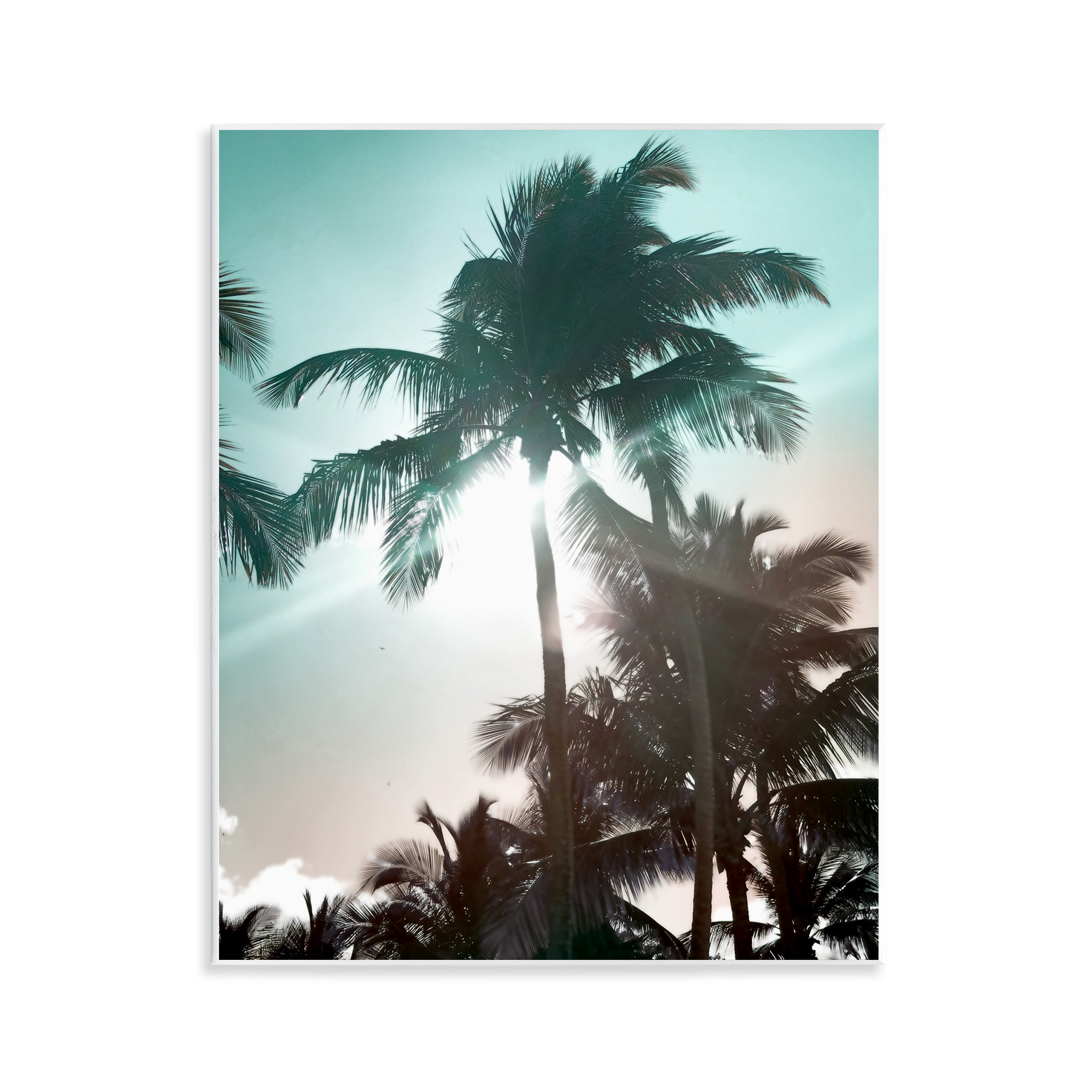 Ebern Designs Shady Palm Trees Wall Plaque Art by Noah Bay - Wayfair Canada