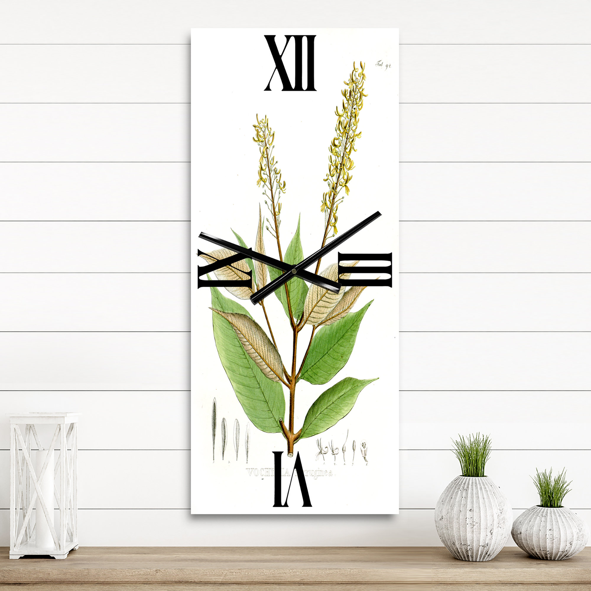 East Urban Home Vintage Brazilian Plant V - Traditional Wall Clock ...