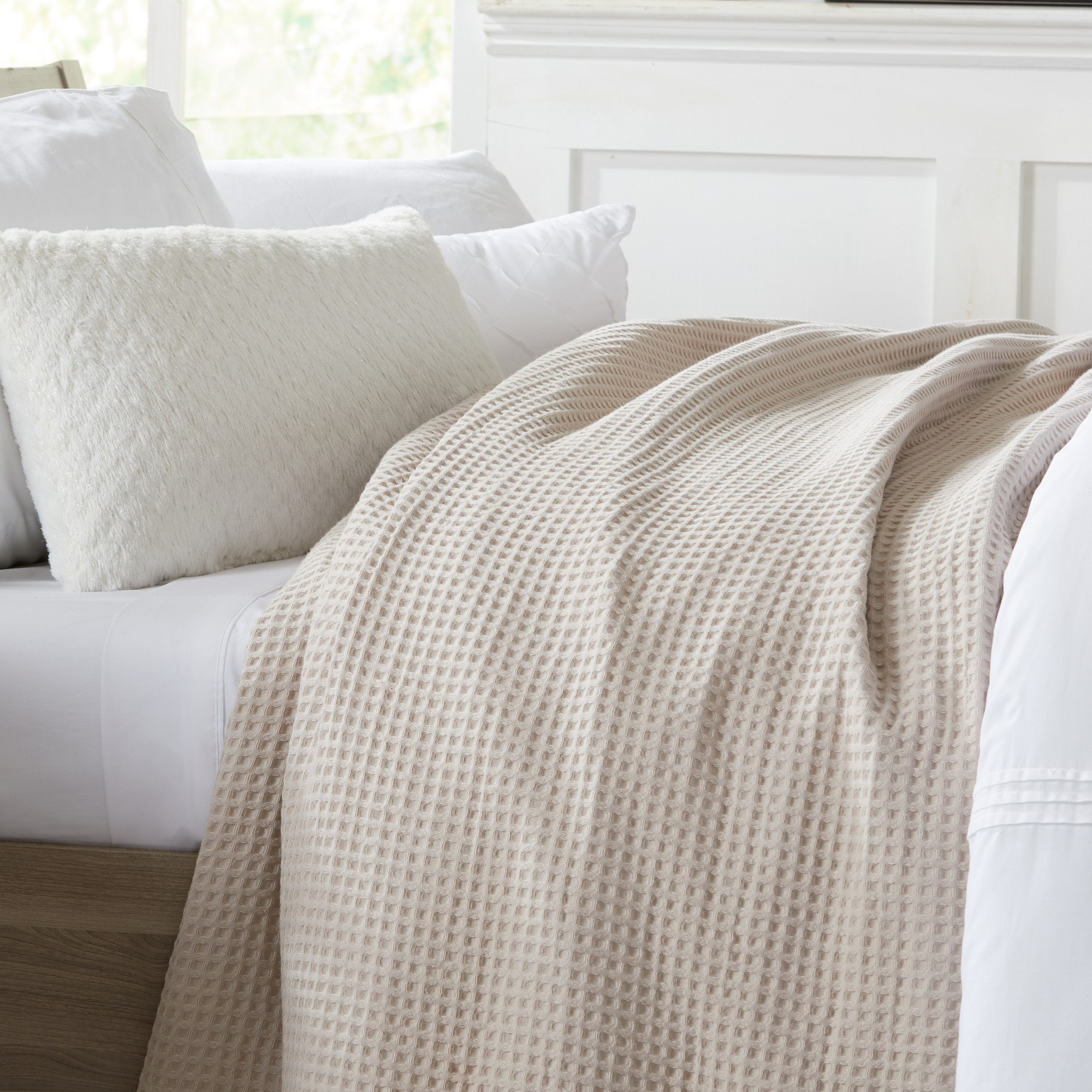 AllModern Vila Cotton Blanket & Reviews | Wayfair