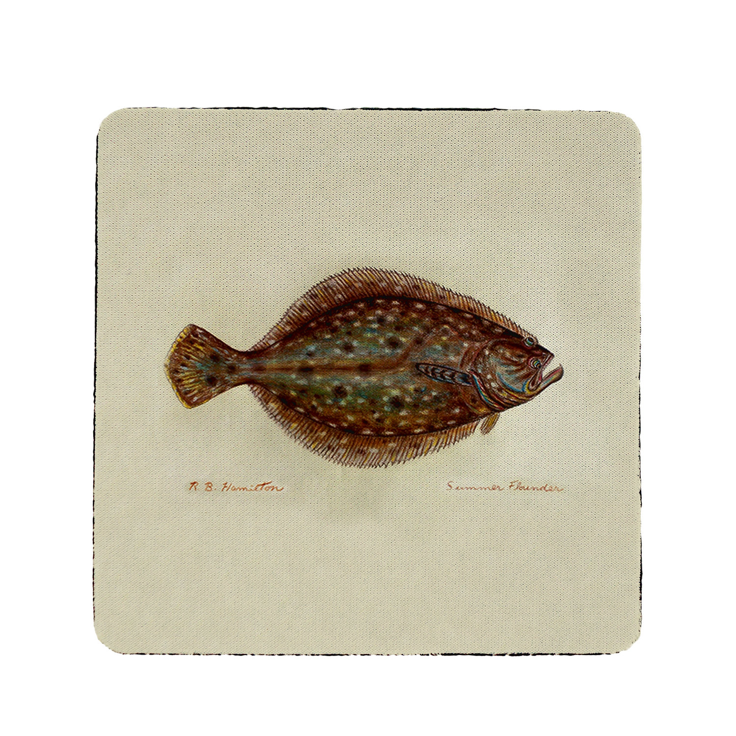 Highland Dunes Albus Flounder Coaster | Wayfair