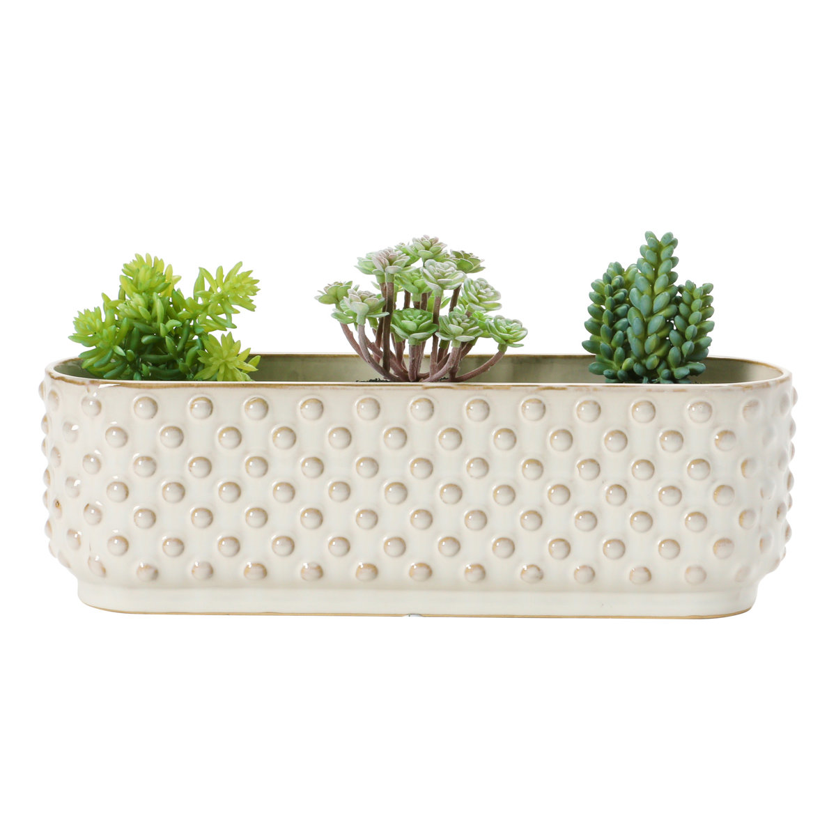 Dakota Fields Gianna Hobnail Window Ceramic Planter Box & Reviews | Wayfair