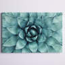 Mistana™ Turquoise Succulent - Wrapped Canvas Photograph Print ...