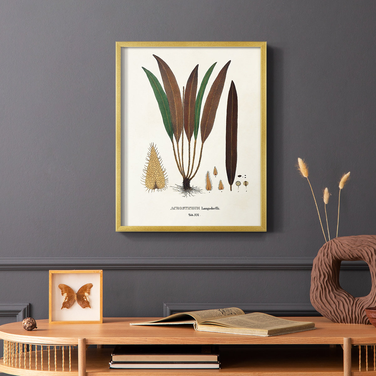 Lark Manor™ Botanical Society Ferns I Framed Print - Solid Wood | Wayfair