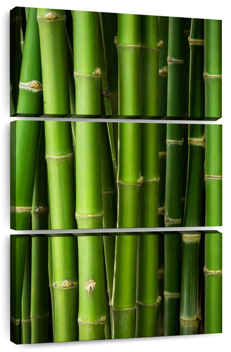 Elephant Stock Bamboo Trunks | Wayfair