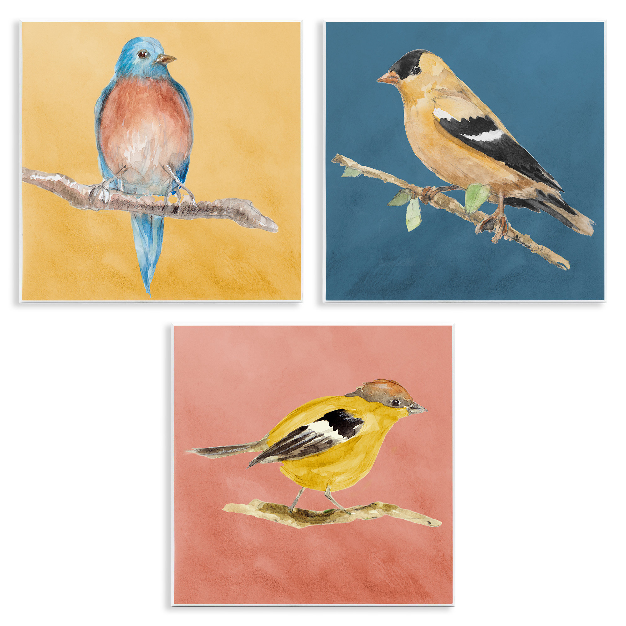 Dakota Fields Brilliant Birds on Branches 3 PC Wall Plaque Art Set by ...