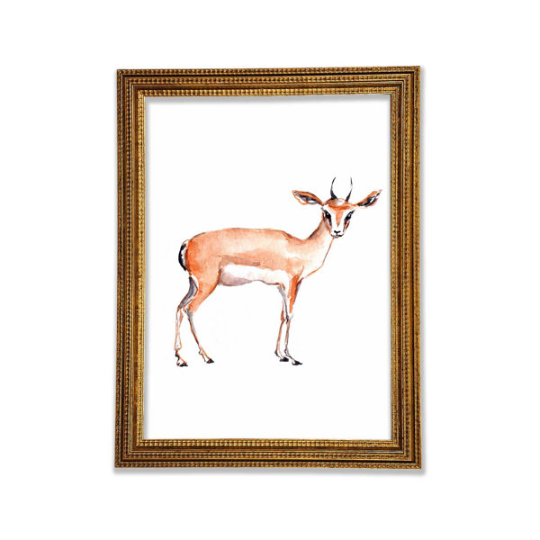 Union Rustic Springbok - Single Picture Frame Print | Wayfair.co.uk