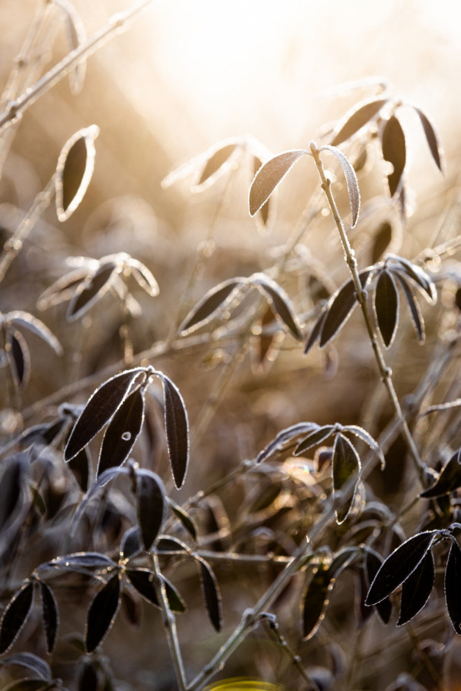 Lark Manor A Winter Morning 6 | Wayfair.co.uk