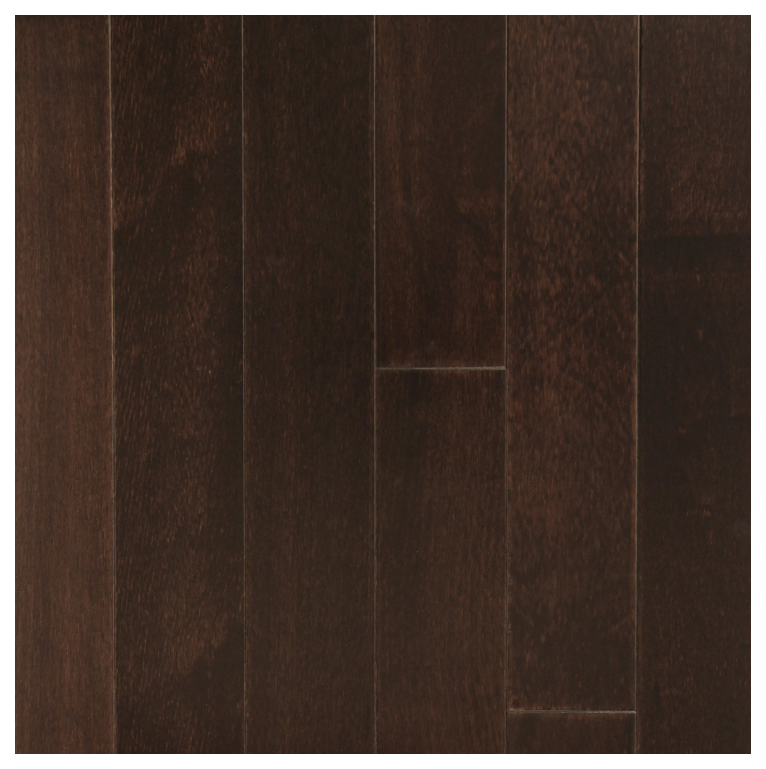 Easoon USA Pacific Treasures Mango 3/4 Thick x 3 1/2" Wide Solid ...