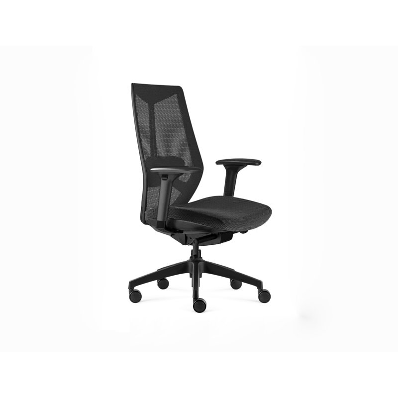 Friant Ignite Ergonomic Mesh Task Chair with Lumbar Support, Pneumatic ...
