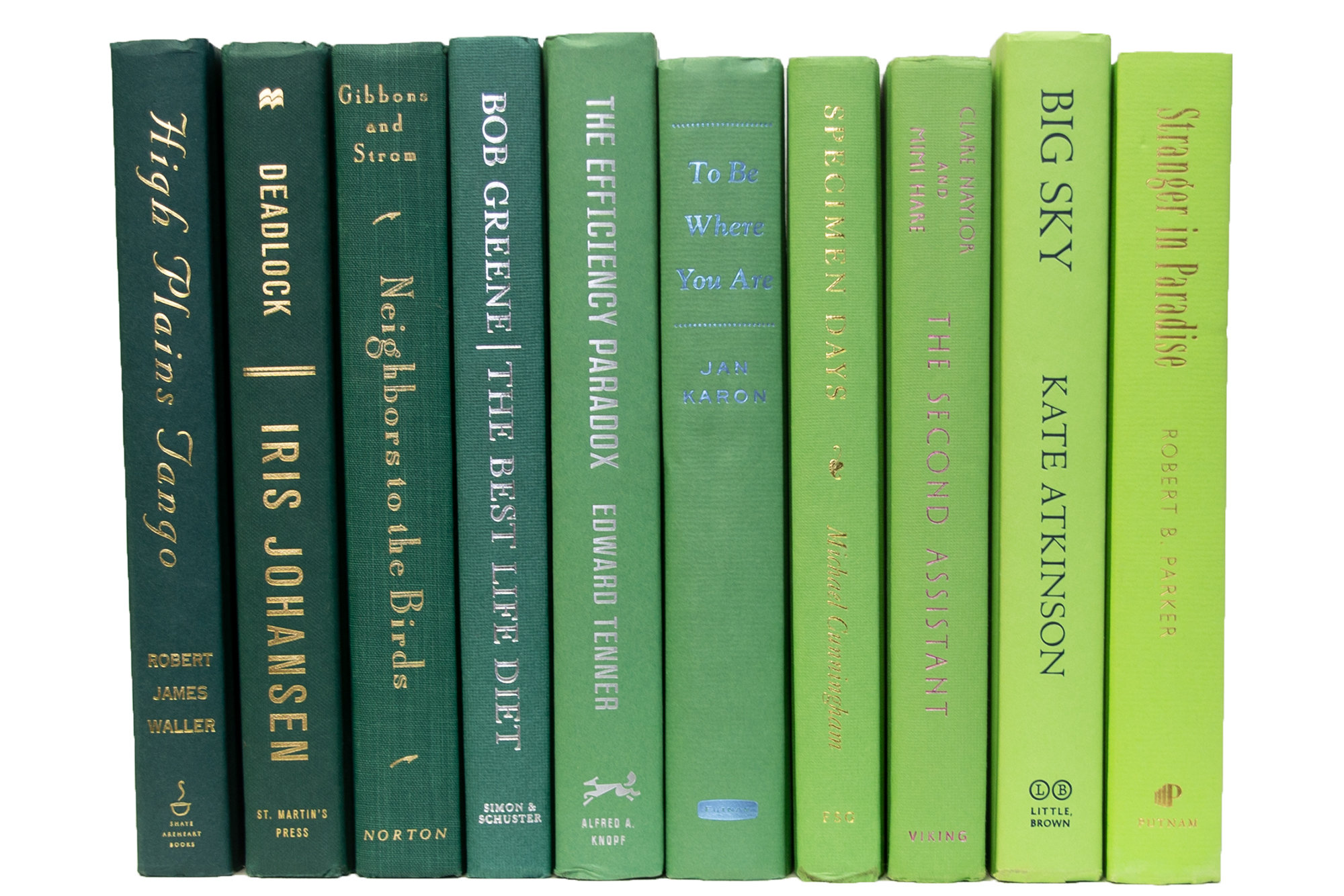 Booth & Williams Modern Boxwood Ombré Colorpak & Reviews | Perigold