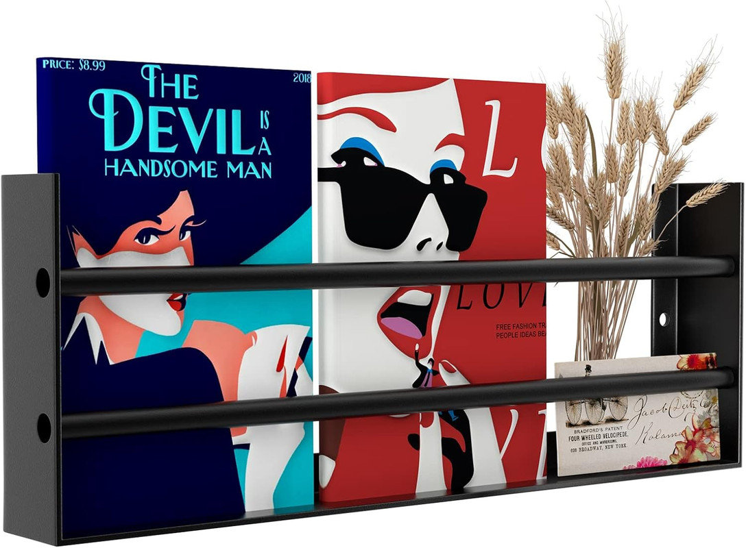 Rebrilliant Modern Minimalist Magazine Rack File Storage Organizer ...