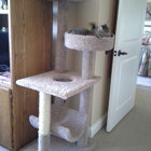 Tucker Murphy Pet™ Telly Cat Tree & Reviews | Wayfair