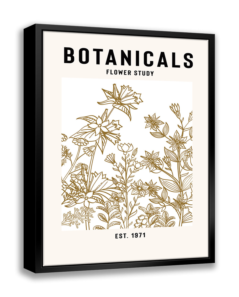 ATX Art Group LLC Botanicals Flower Study II by Stanley Print House ...