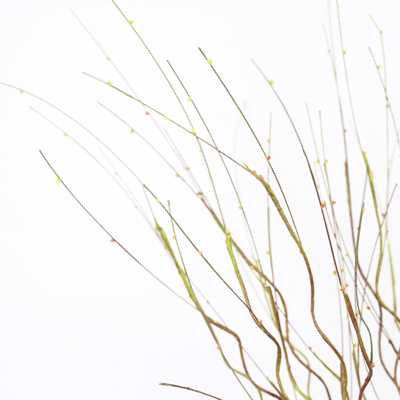 Ophelia & Co. Artificial Farmhouse Greenery Branch Long Stem Sprays For ...
