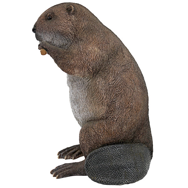 Design Toscano Dam Building Beaver Statue & Reviews | Wayfair