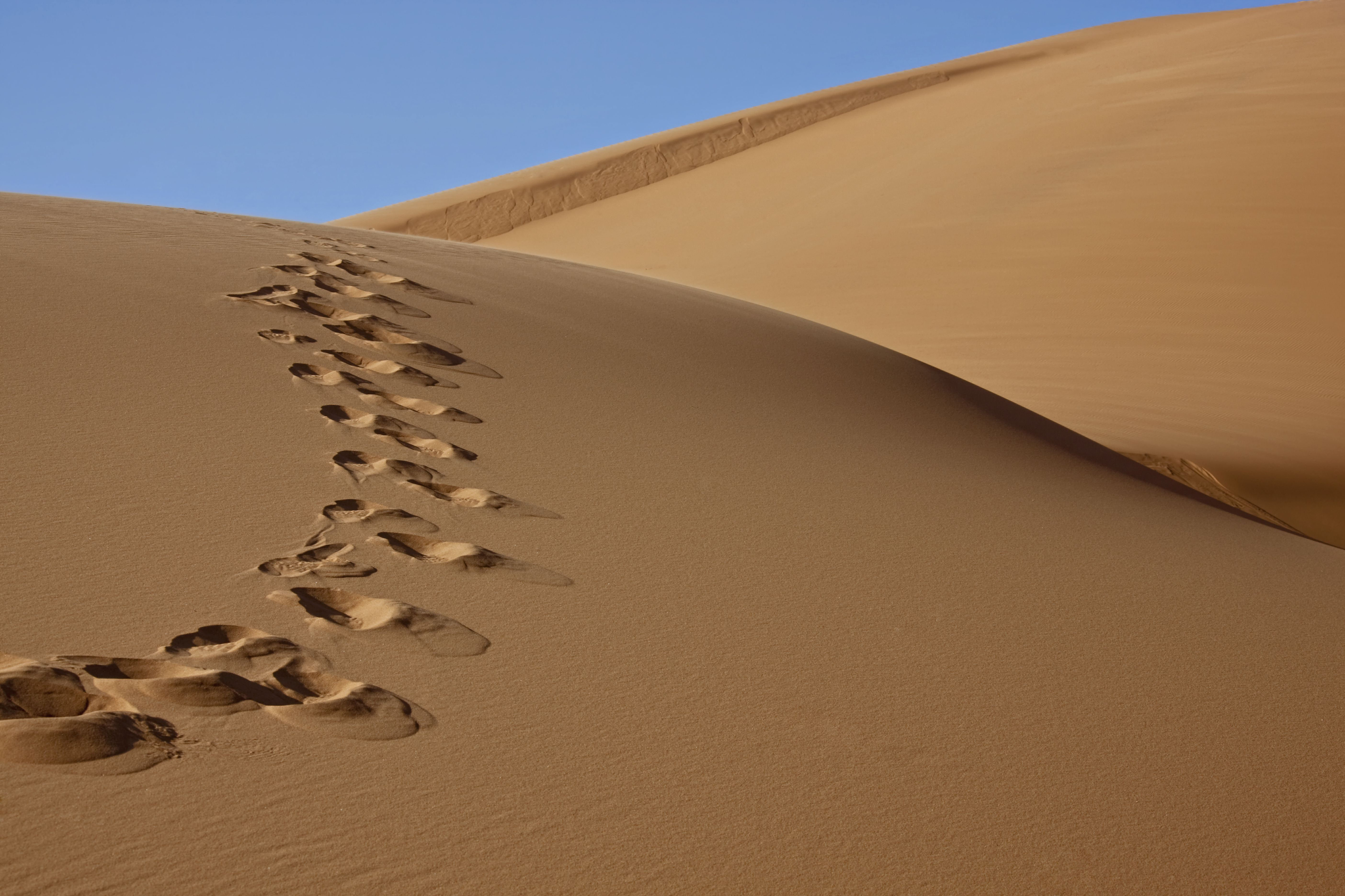 Union Rustic Footprints On Desert Sand by Rosafrei - Print | Wayfair