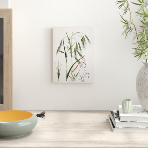 East Urban Home Bromus Sterilis Barren Brome-Grass - Painting | Wayfair ...