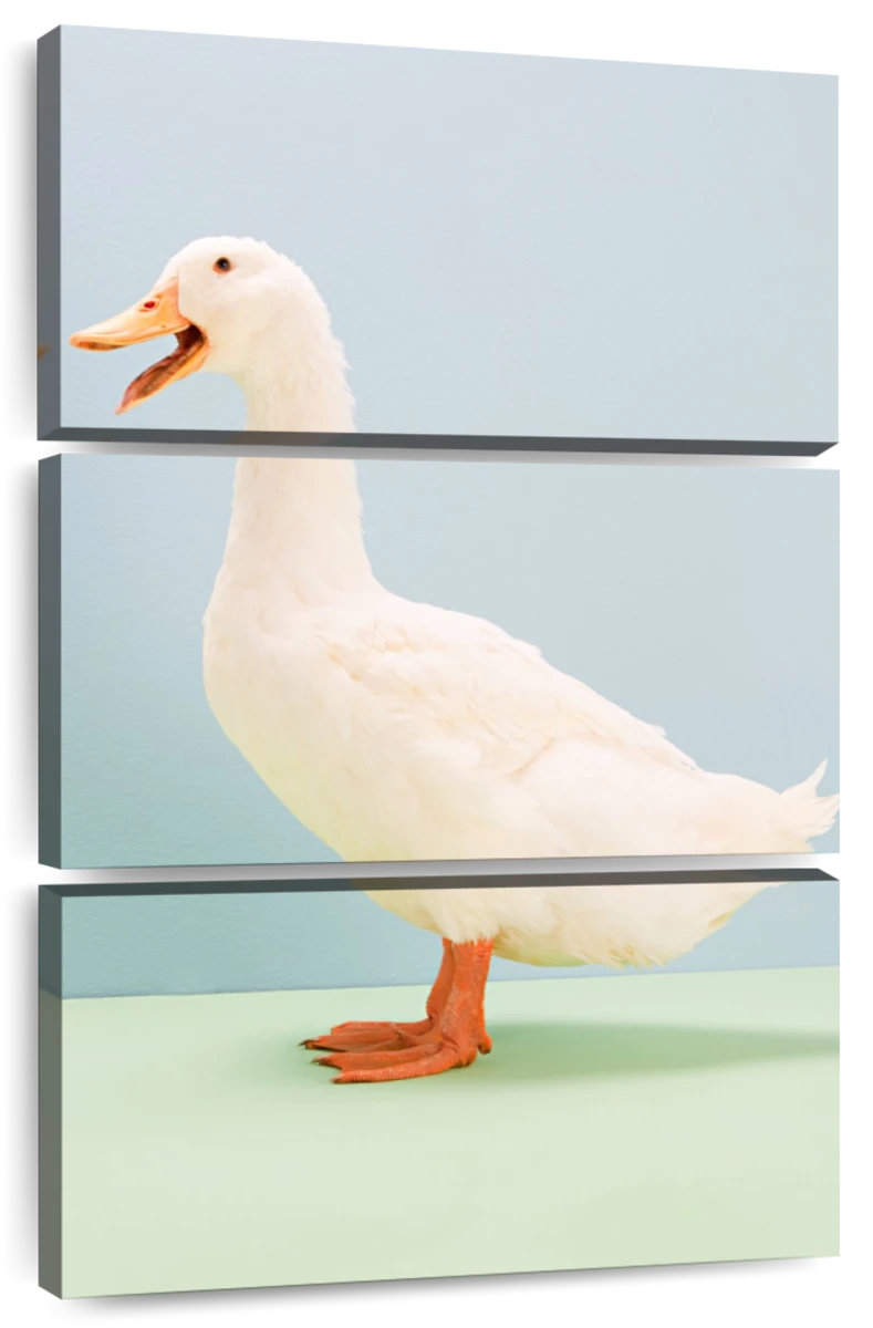 Ebern Designs Brampt Quacking White Duck - Wayfair Canada