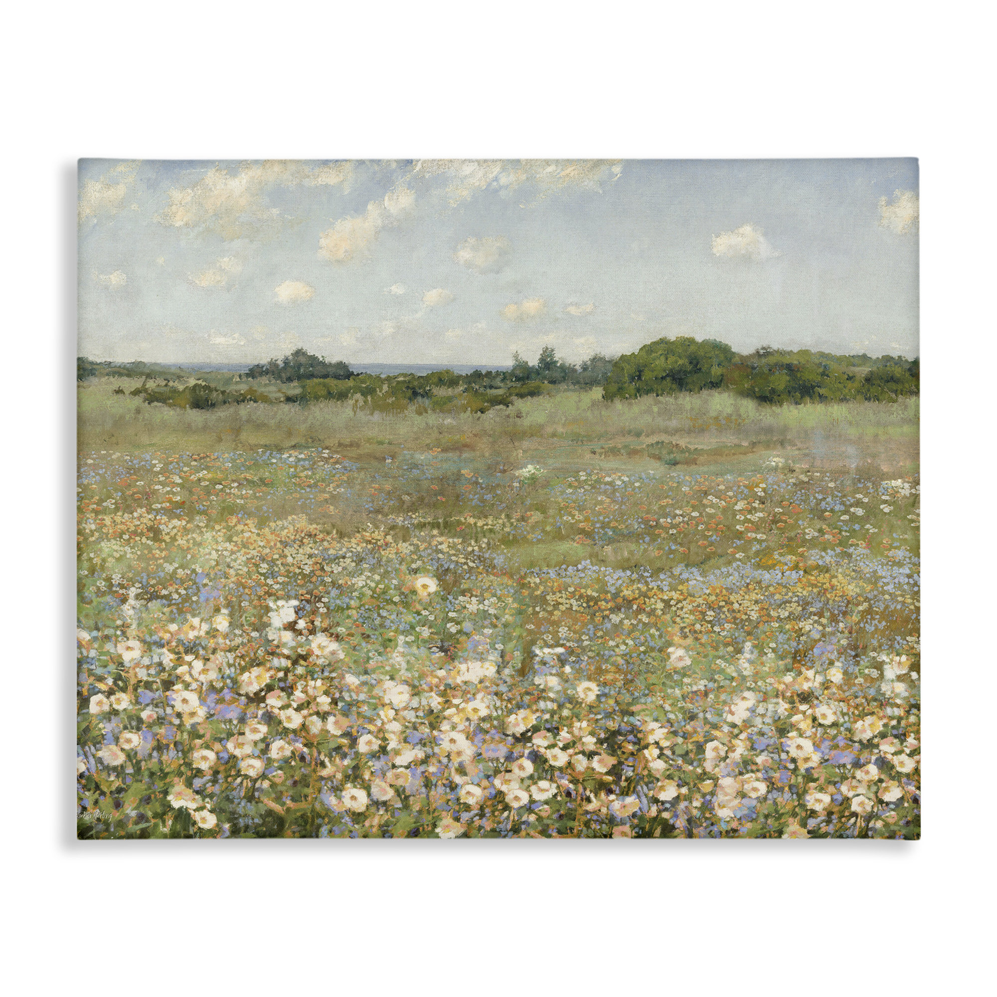 Union Rustic Vast Flower Speckled Meadow Canvas, design by Amber ...