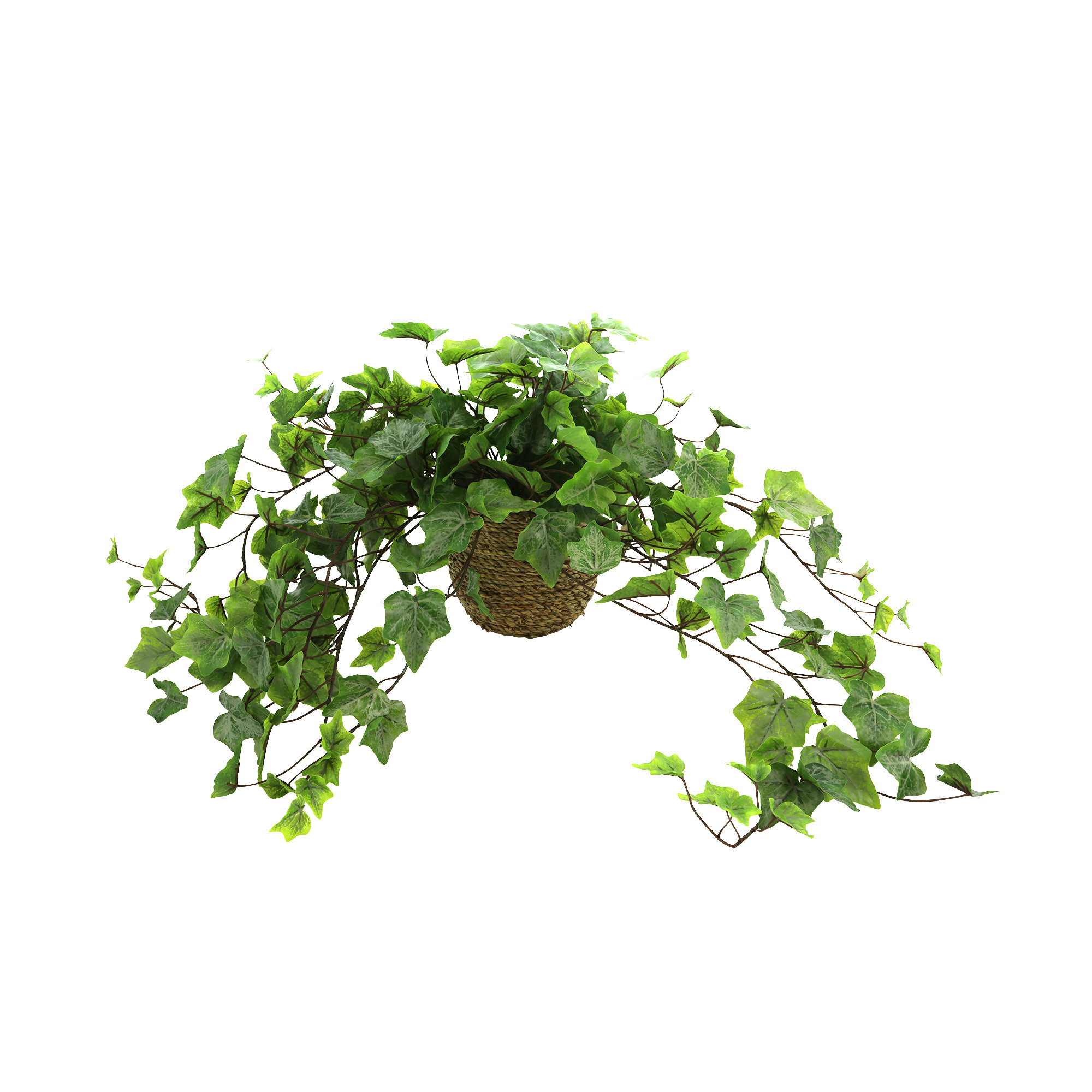 Creative Displays, Inc. Organic Modern Ivy in Strawgrass Pot | Perigold