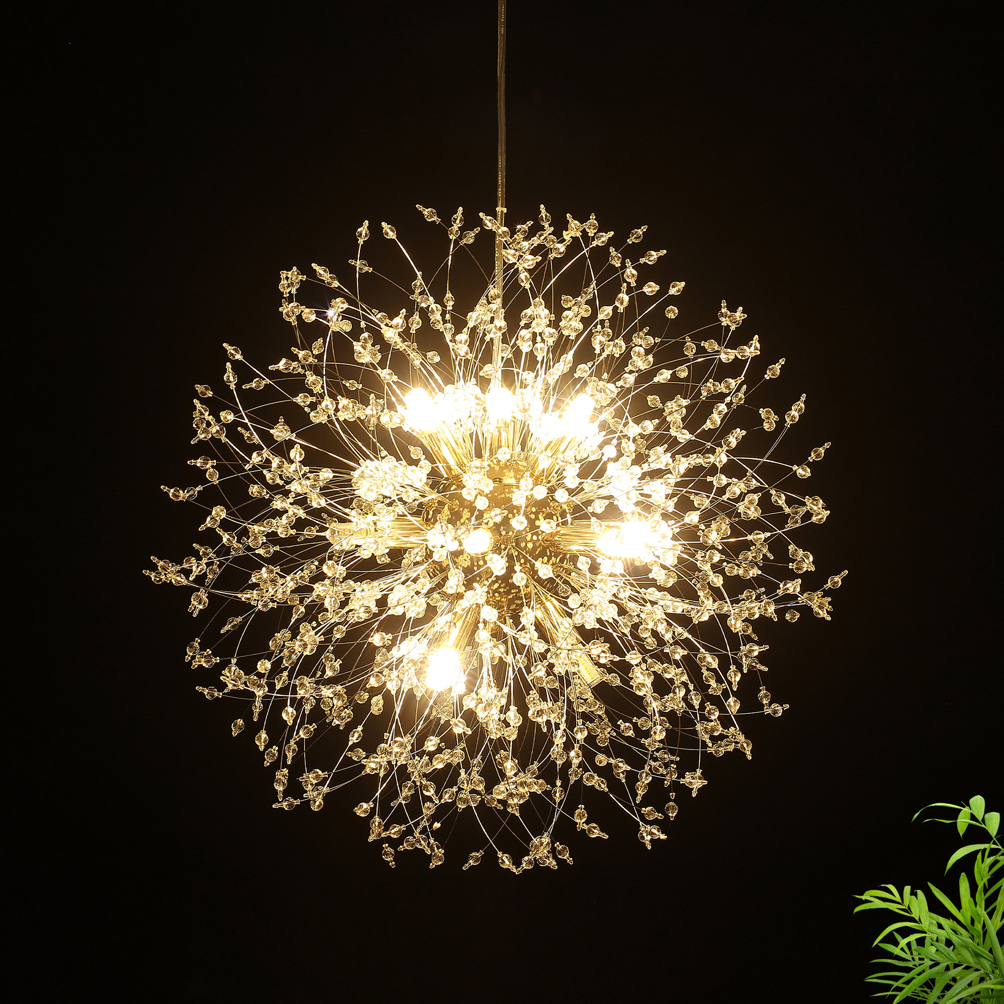 Mercer41 Ambera 12 - Light Dimmable Modern Crystal Dandelion Firework ...