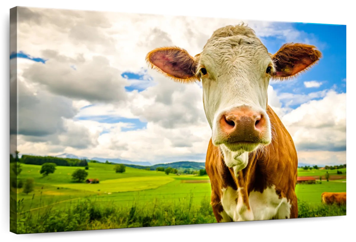 Ebern Designs European Alps Cow | Wayfair