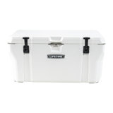 Ice Chest | Wayfair