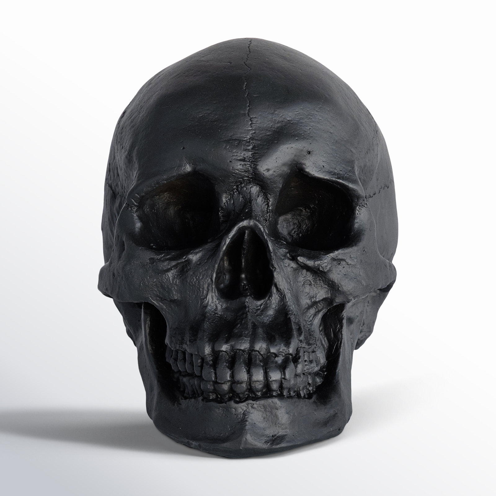 The Holiday Aisle® Muscogee Replica Faux Taxidermy Human Skull Figurine ...