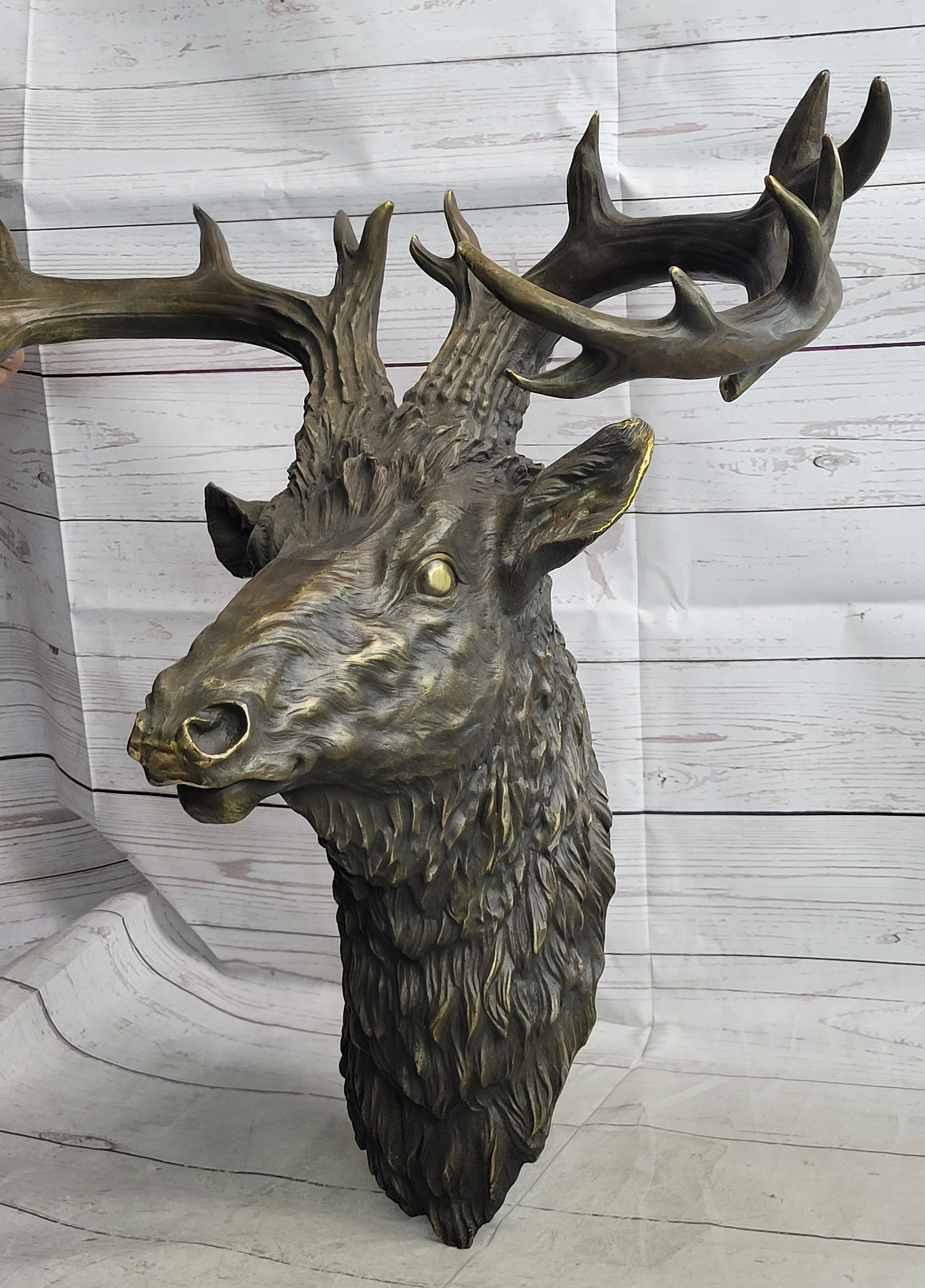 Loon Peak® Kaelib Hanging Wall Art Mounted Elk Deer Bust Head Stag ...