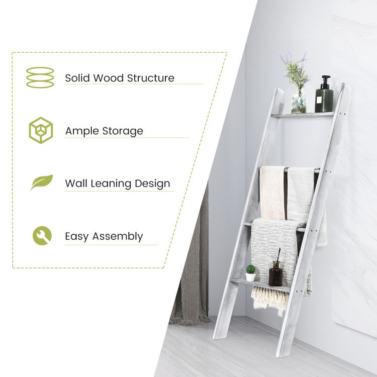 CasaCore 4-Tier Wall Leaning Ladder Shelf Stand | Wayfair