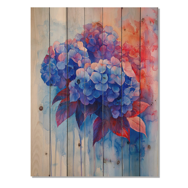blue and red hydrangea