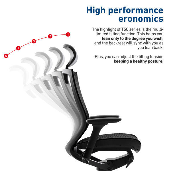 SIDIZ T50 Ergonomic Office Chair : High Performance Home Office Chair ...
