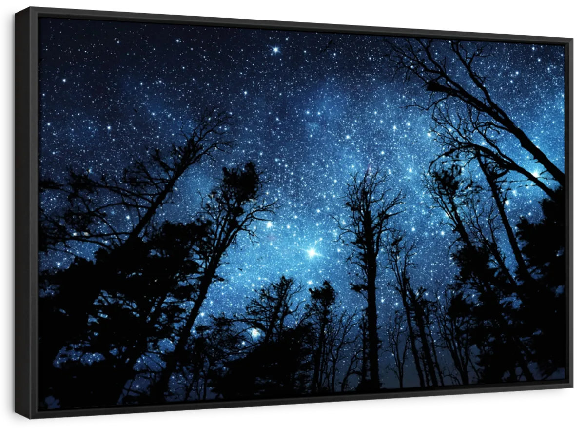 Loon Peak® Astronomy & Space " Forest Night Sky Canvas Print " | Wayfair