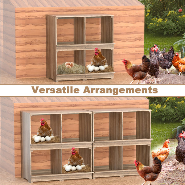 Tucker Murphy Pet™ Chicken Nesting Boxes, 8-compartment Wall-mounted ...