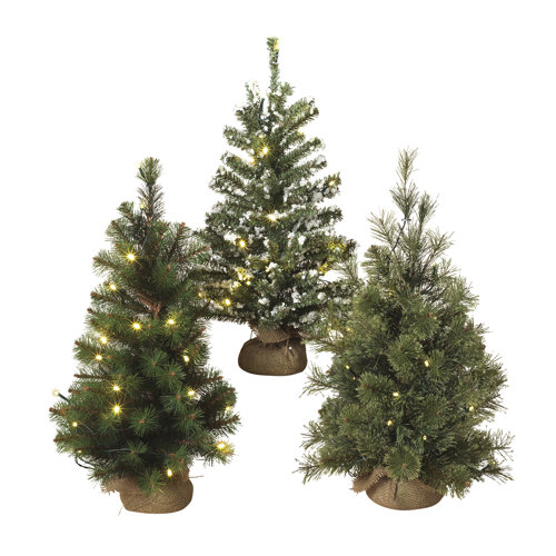 Farmhouse & Rustic Sparse Christmas Trees | Birch Lane