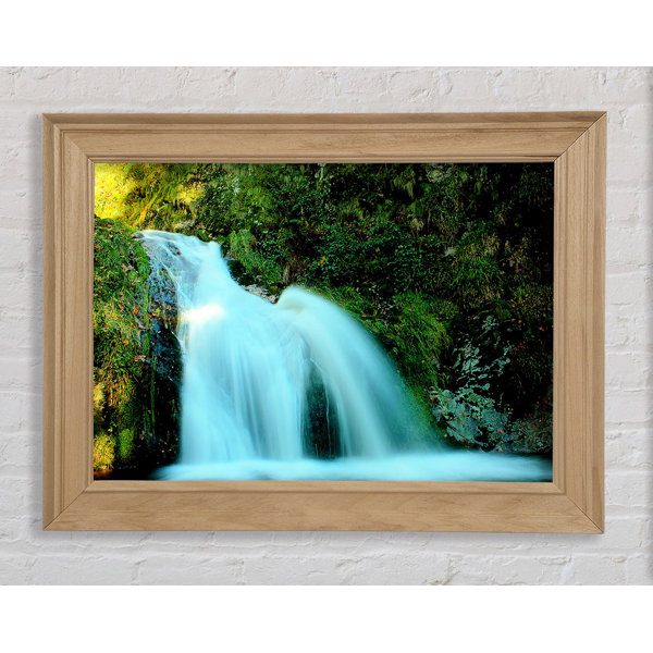 Bright Star Natural Waterfall - Single Picture Frame Art Prints ...